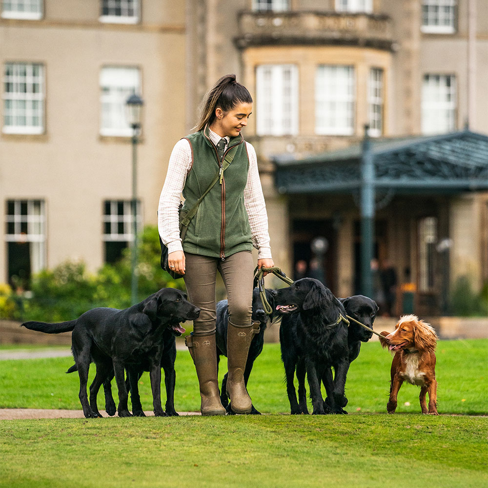 Falconry Scotland | Gundog Training Scotland | Gleneagles