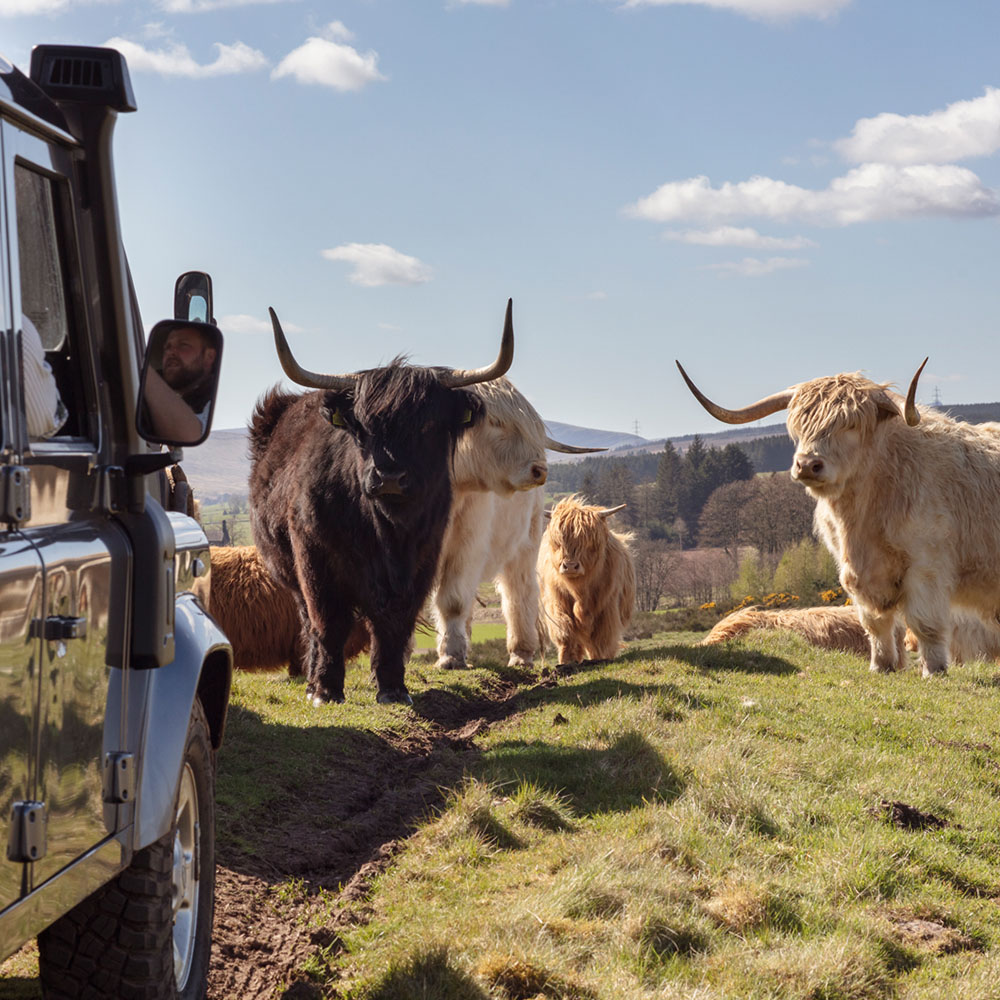 Luxury Day Spa Packages in Perthshire, Scotland | Gleneagles